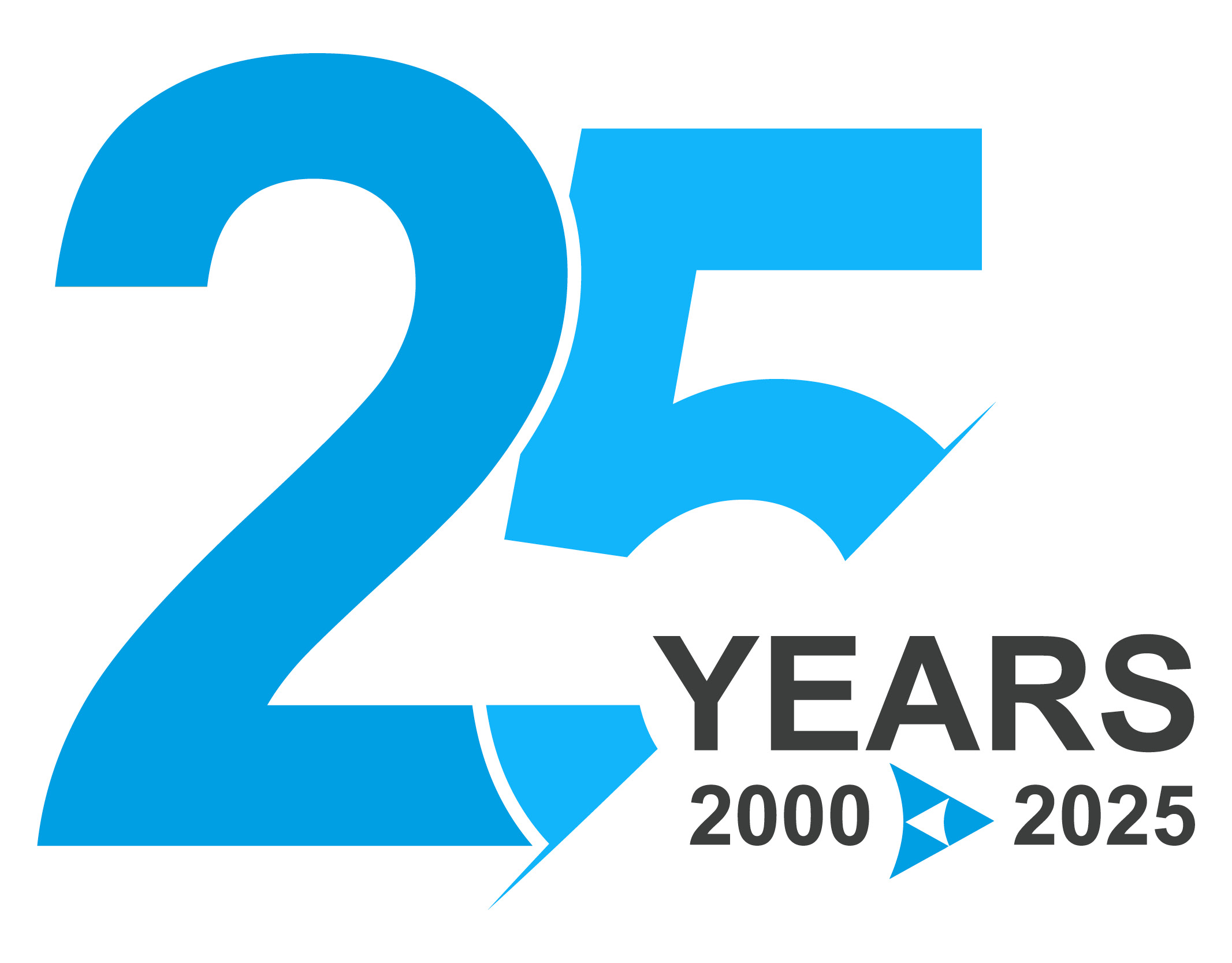 Celebrating 25 years of excellence - Electronic Excellence